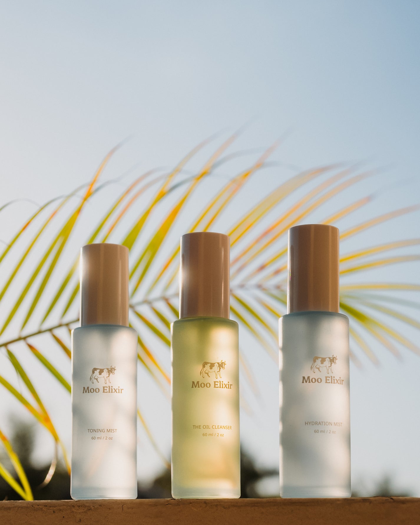 Hydration Mist – Moo Elixir